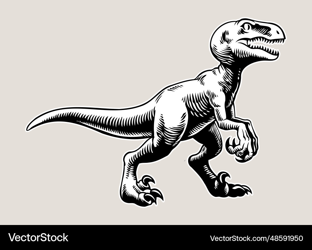 Hand draw raptor in white background isolated Vector Image