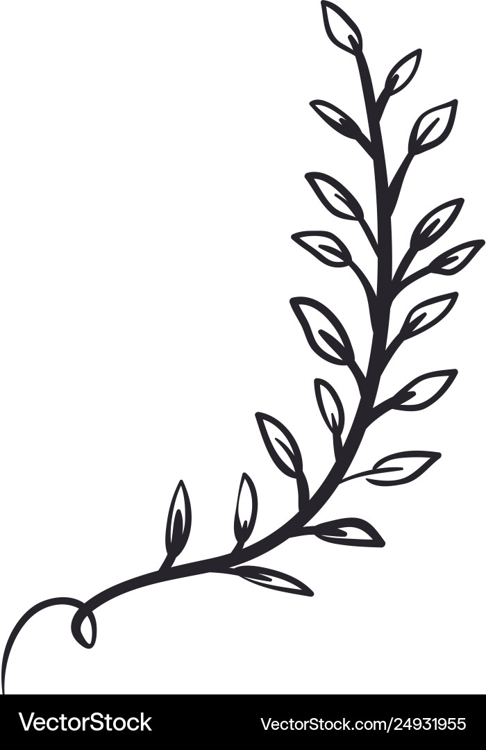Beautiful leaf plant isolated icon Royalty Free Vector Image