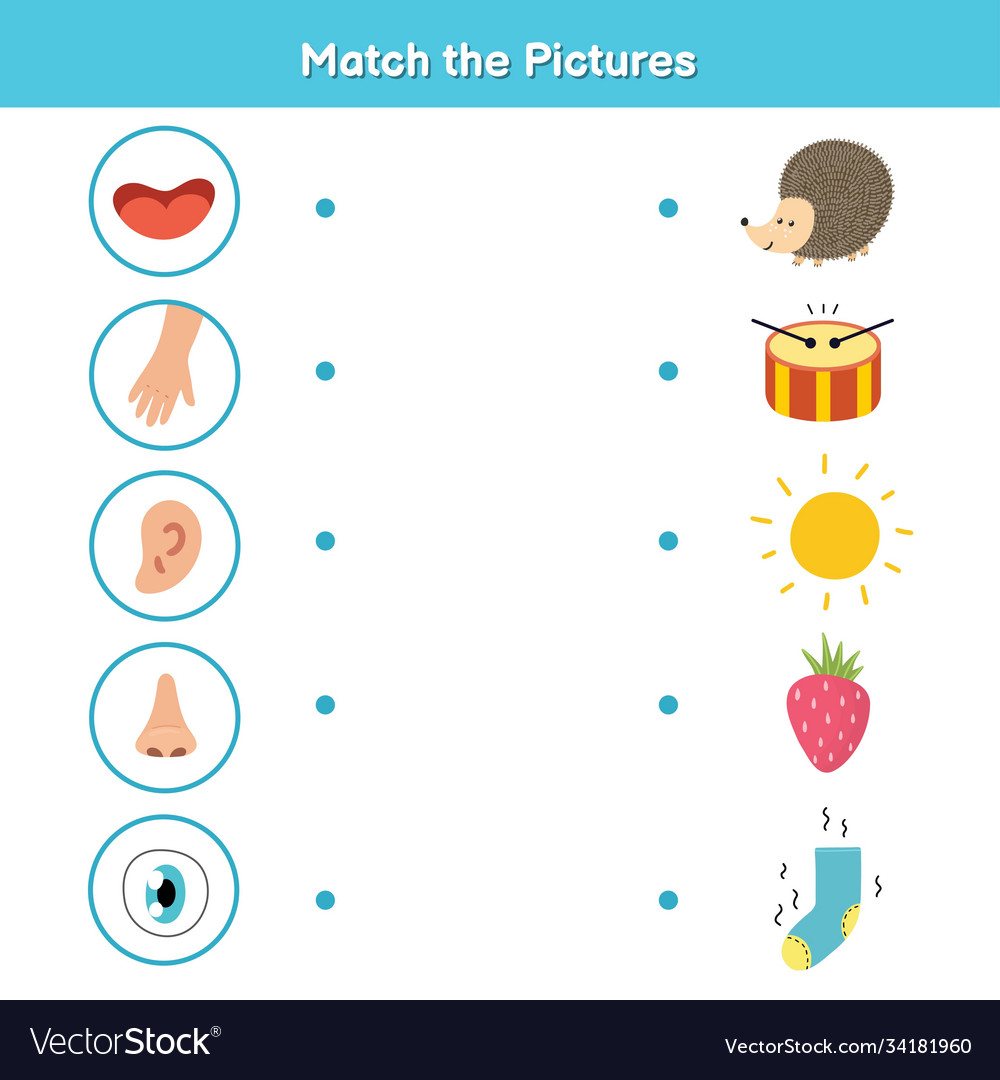 Sense Of Sight For Kids