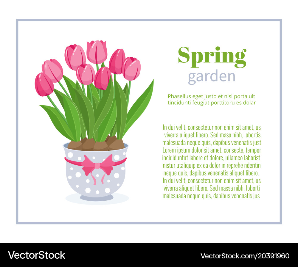 Spring garden flower brochure design backgrounds Vector Image