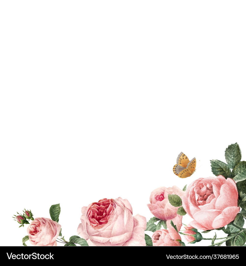 Hand drawn pink roses frame on white background Vector Image
