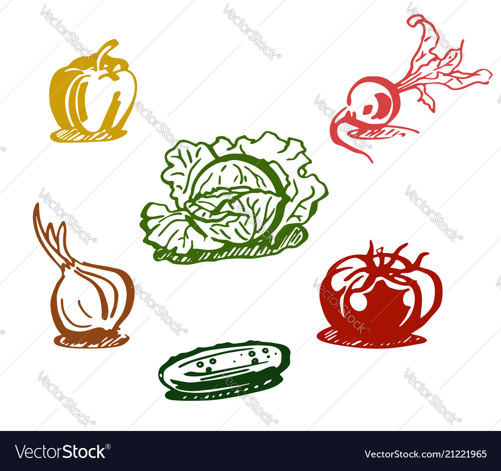 Vegetables set Royalty Free Vector Image - VectorStock