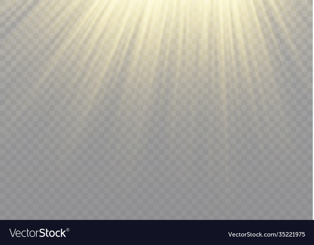 Flash effect sunlight Royalty Free Vector Image
