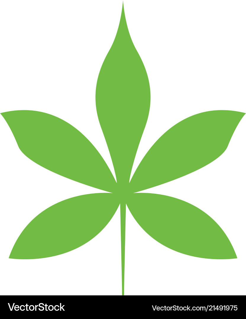 Leaf floral patterns logo and symbols on a white Vector Image