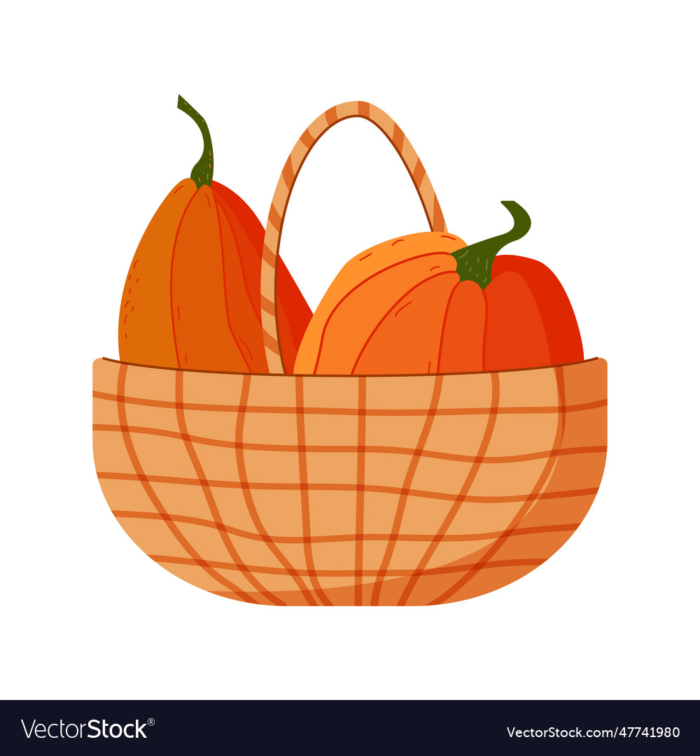Autumn harvest - pumpkins in basket farming Vector Image