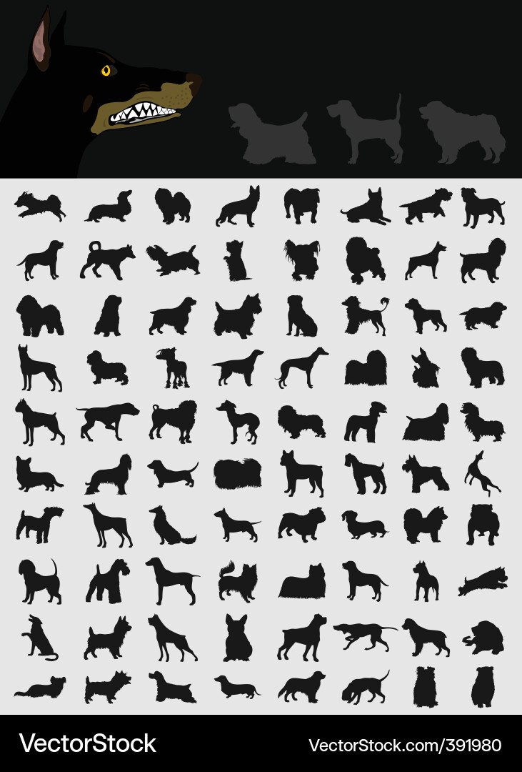 Dogs Royalty Free Vector Image - VectorStock