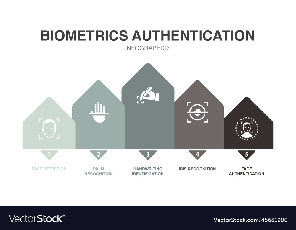 Face Detection Palm Recognition Handwriting Vector Image