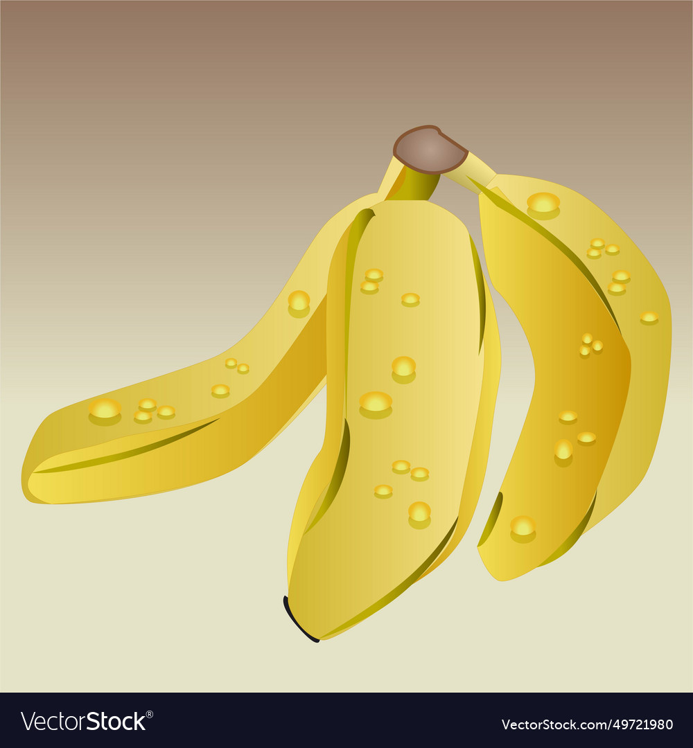 Fresh ripe banana Royalty Free Vector Image - VectorStock