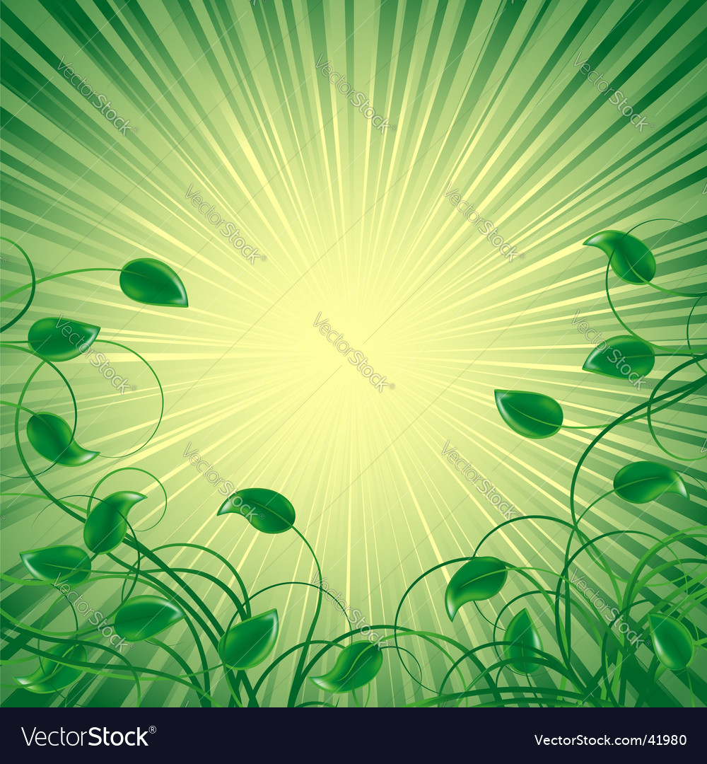 Green background Royalty Free Vector Image - VectorStock