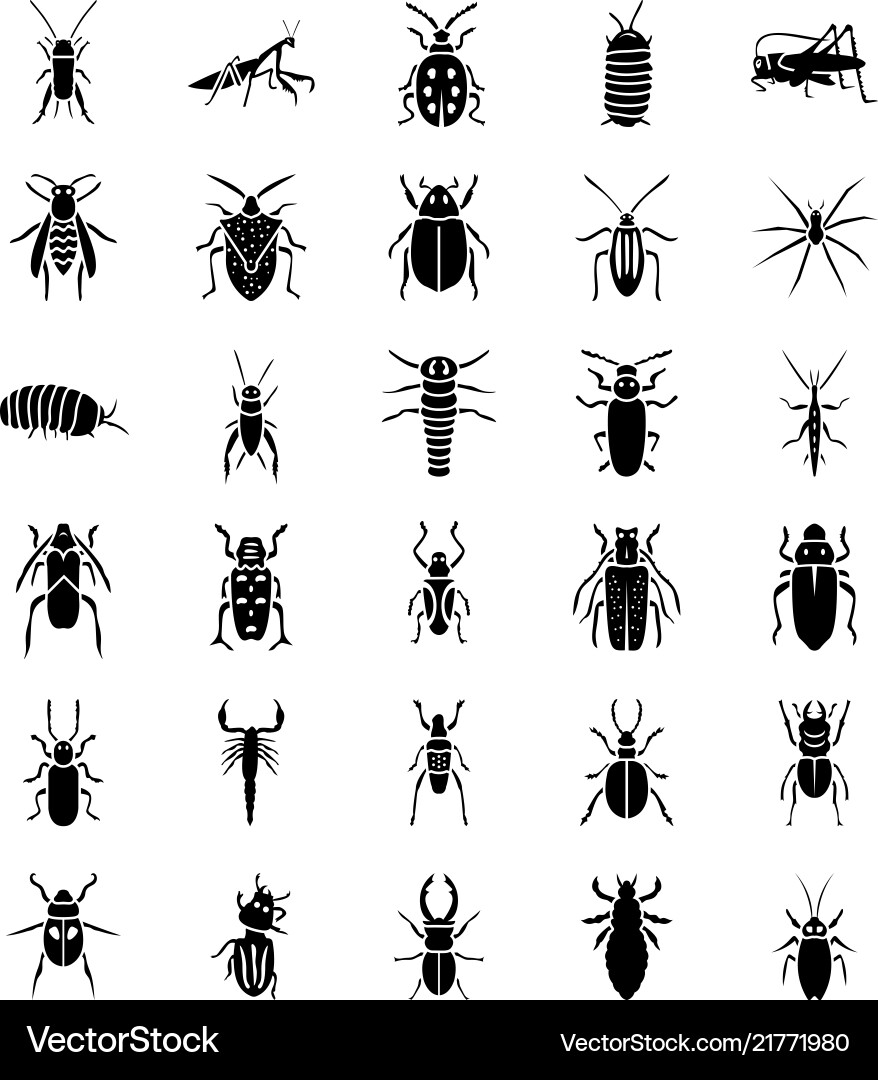 Invertebrates glyph icons set Royalty Free Vector Image