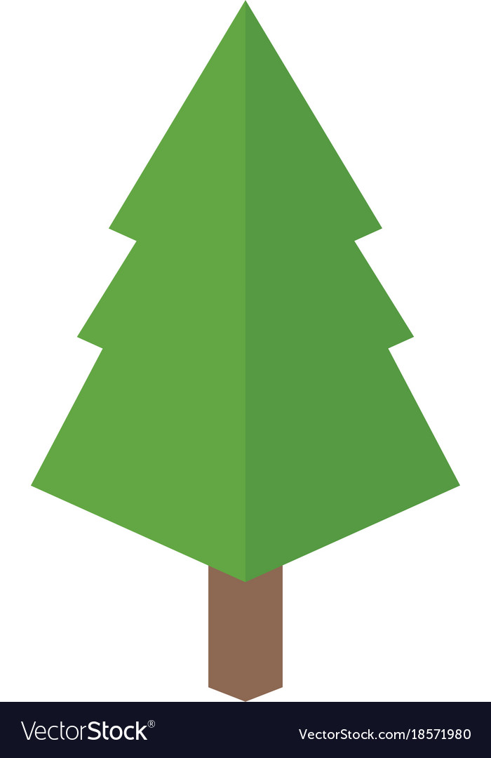 Isolated pine tree design Royalty Free Vector Image