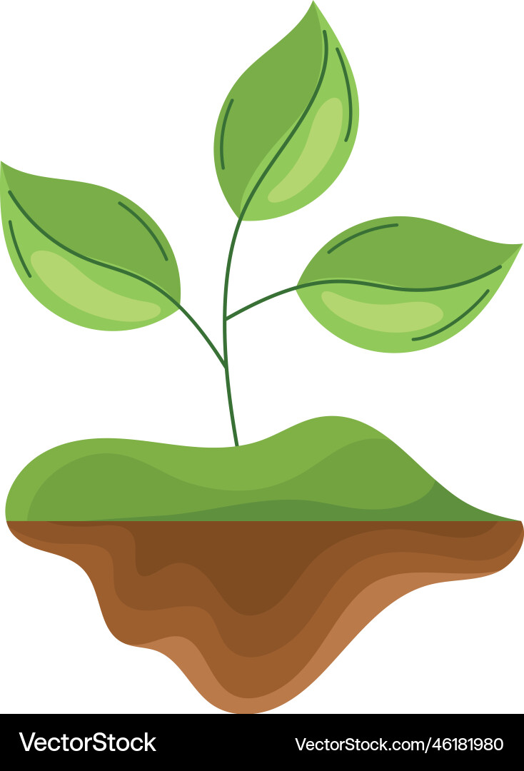 Plant garden nature Royalty Free Vector Image - VectorStock