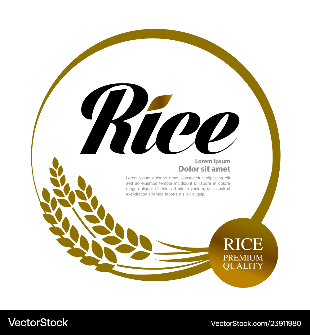 Premium rice great quality design concept Vector Image