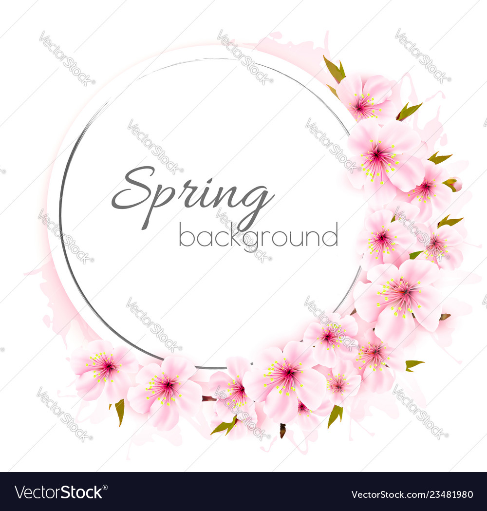 Spring background with a pink blooming flowers Vector Image