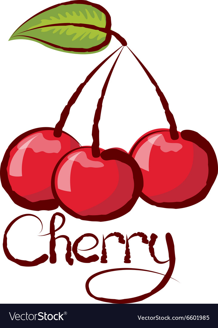 Cherry Royalty Free Vector Image - VectorStock