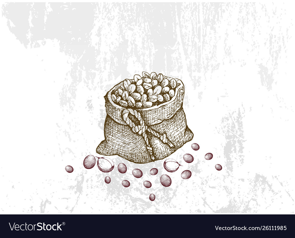 Hand drawn coffee beans in a sack Royalty Free Vector Image