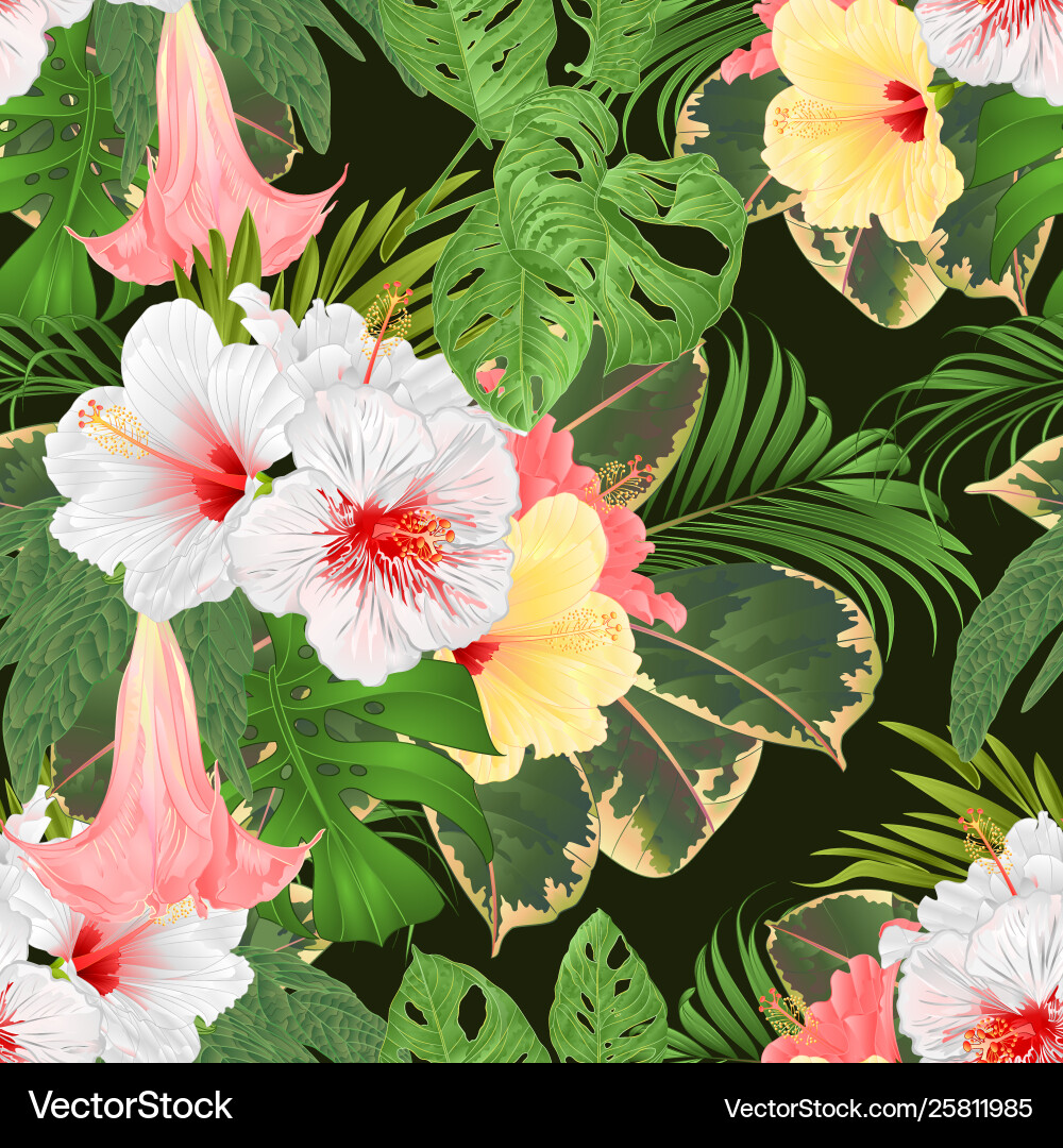 Seamless texture tropical flowers hibiscus Vector Image