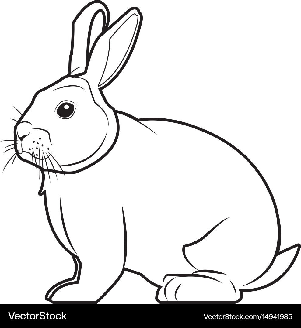 Wild rabbit nature rodent farm image Royalty Free Vector