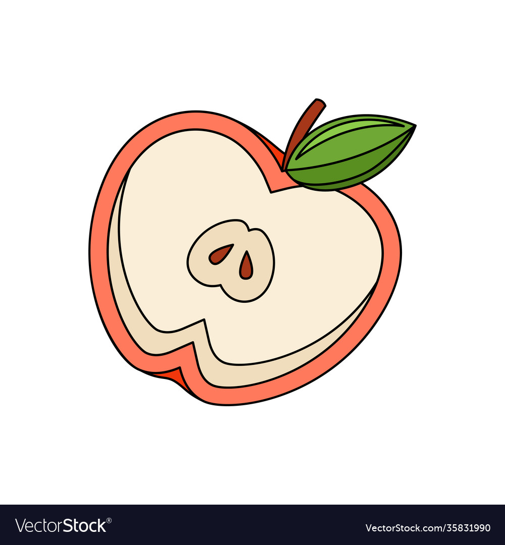 Apple slice Royalty Free Vector Image - VectorStock