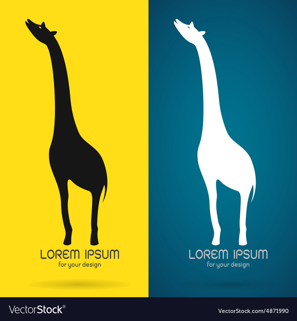 Giraffe Royalty Free Vector Image - VectorStock