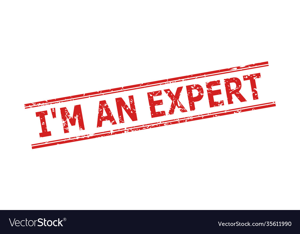 I m an expert stamp seal with unclean texture Vector Image