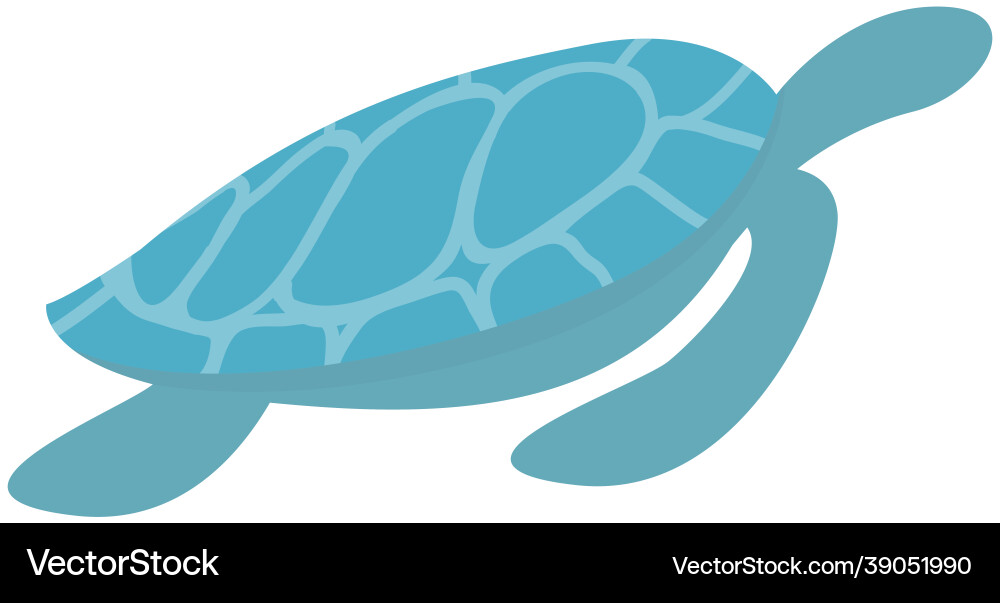 Sea blue turtle swimming on white background Vector Image