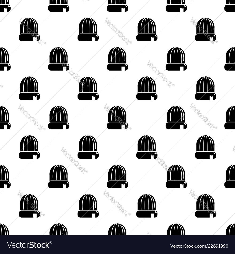 Winter hat cap pattern seamless Royalty Free Vector Image