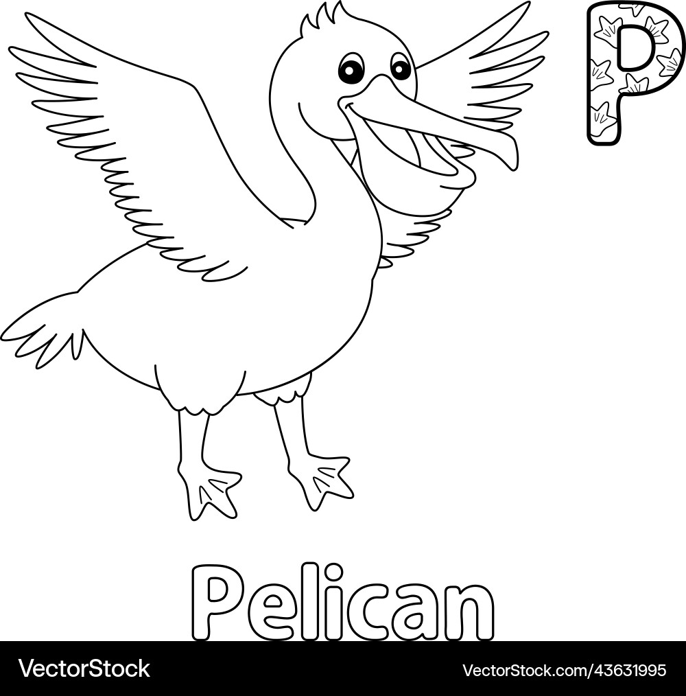 Pelican alphabet abc coloring page p Royalty Free Vector