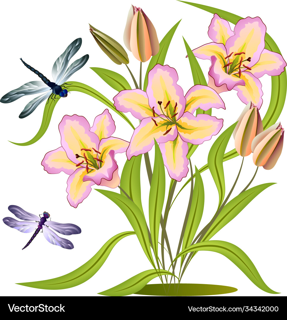 Flowers and dragonflies in color Royalty Free Vector Image
