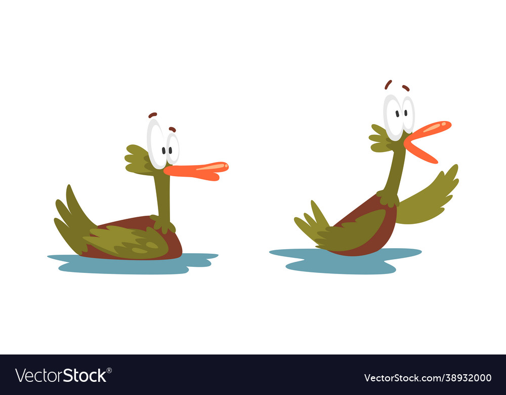 Funny green dabbling duck character swimming Vector Image