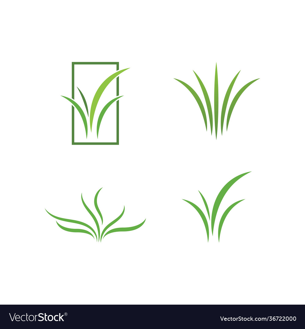 Grass Royalty Free Vector Image - VectorStock