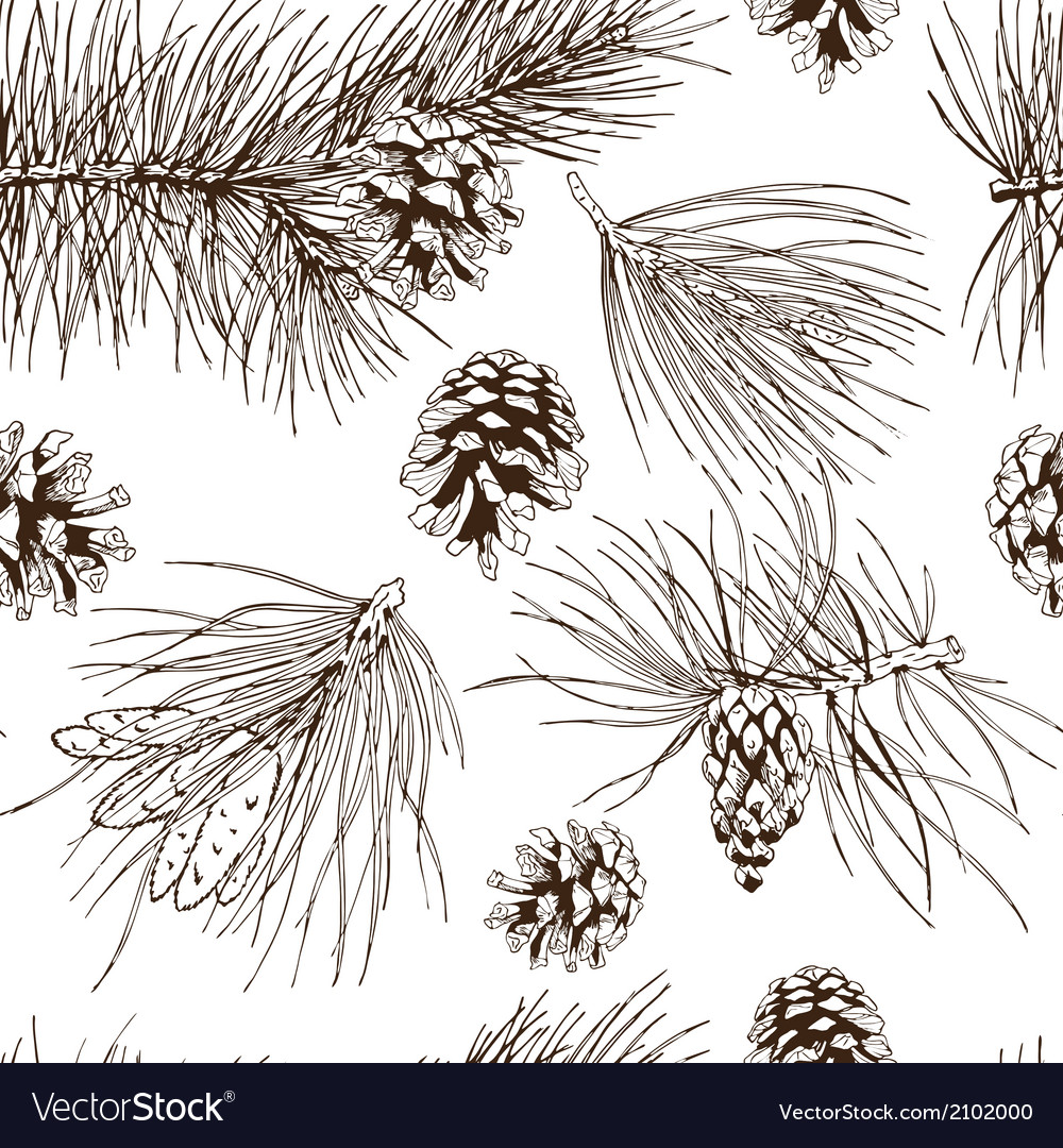 Pine branches seamless pattern Royalty Free Vector Image