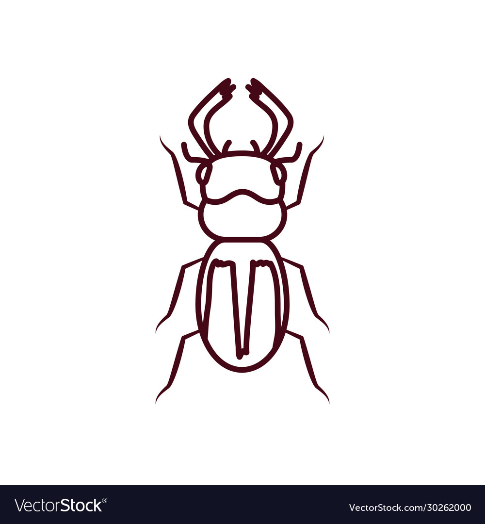 Stag beetle icon line style Royalty Free Vector Image