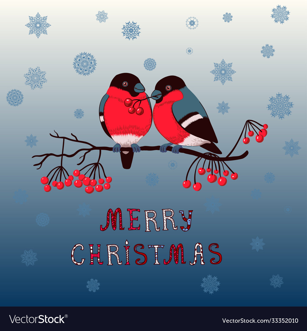 Christmas cute postcard with bullfinches Vector Image