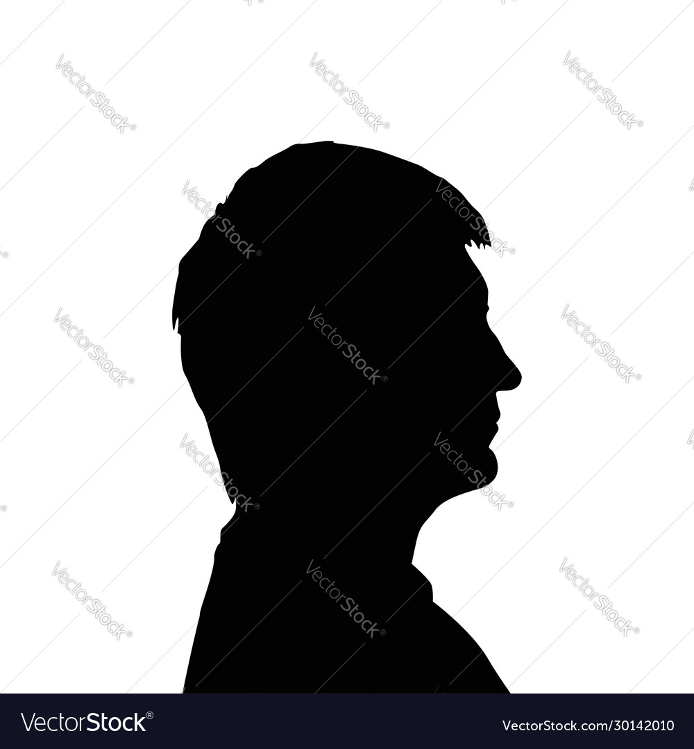 Head Royalty Free Vector Image - VectorStock