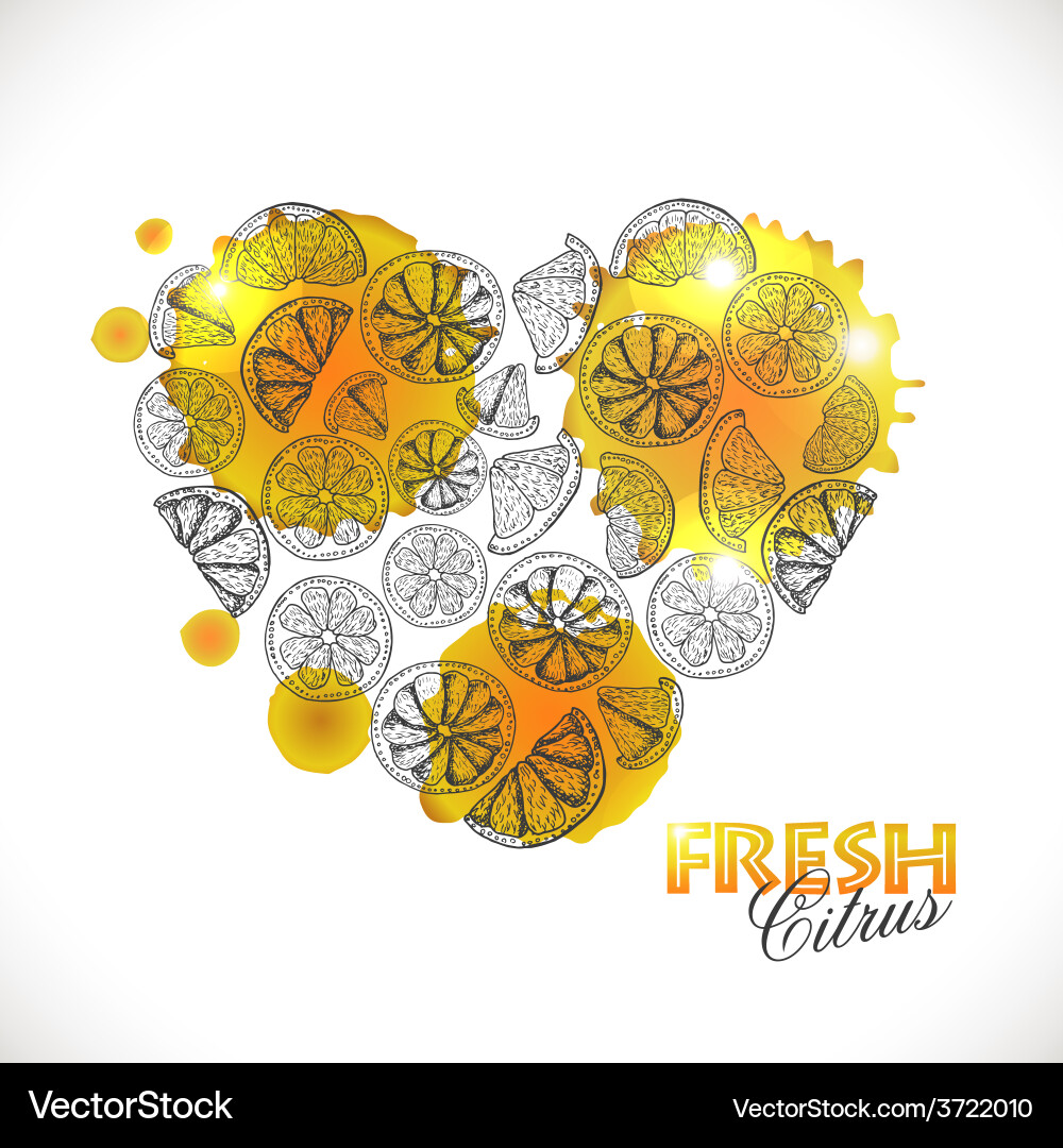 Isolated heart of citrus Royalty Free Vector Image