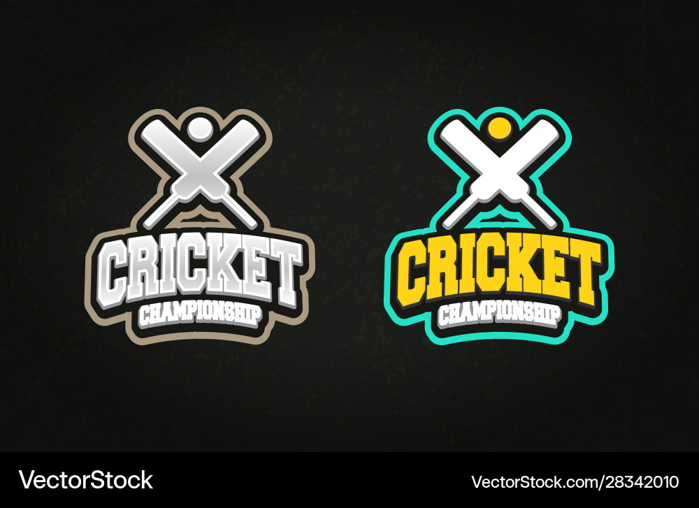 Modern professional typography cricket sport Vector Image