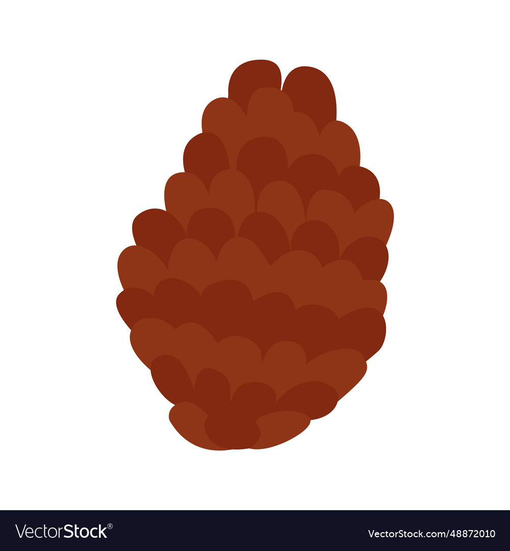 Pine cone flat Royalty Free Vector Image - VectorStock