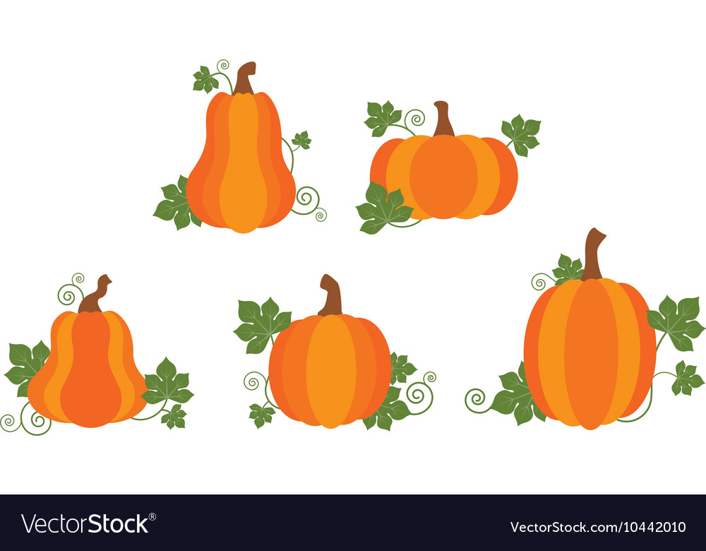 Pumpkin set Royalty Free Vector Image - VectorStock