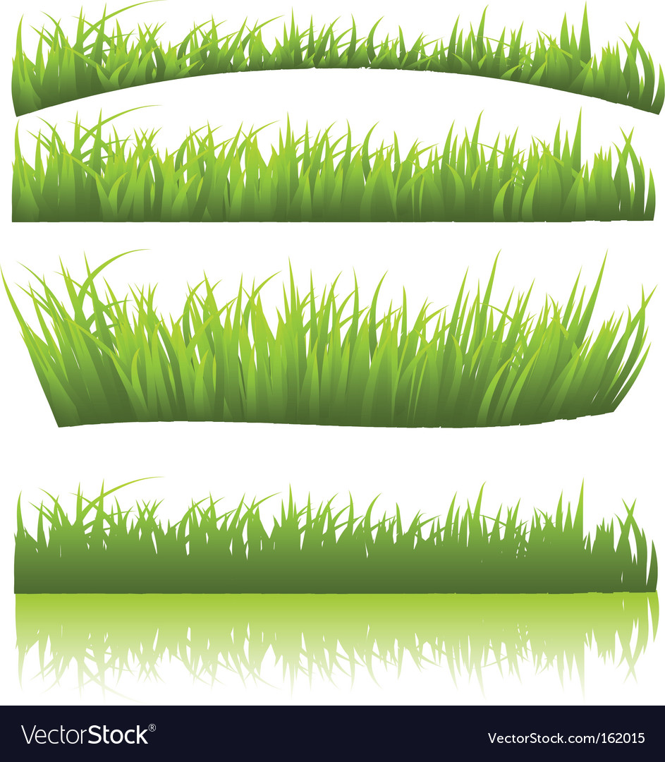 Grass Royalty Free Vector Image - VectorStock