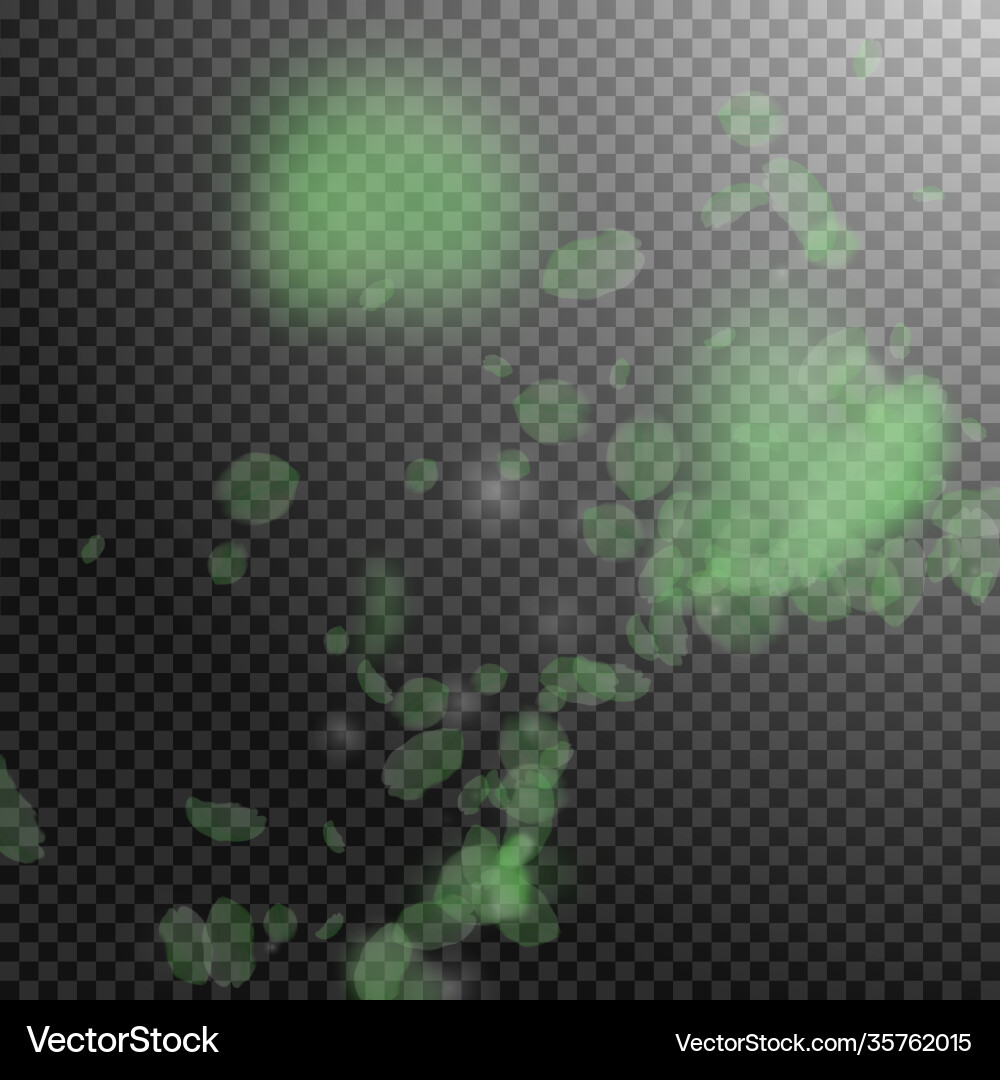 Green flower petals falling down attractive roman Vector Image