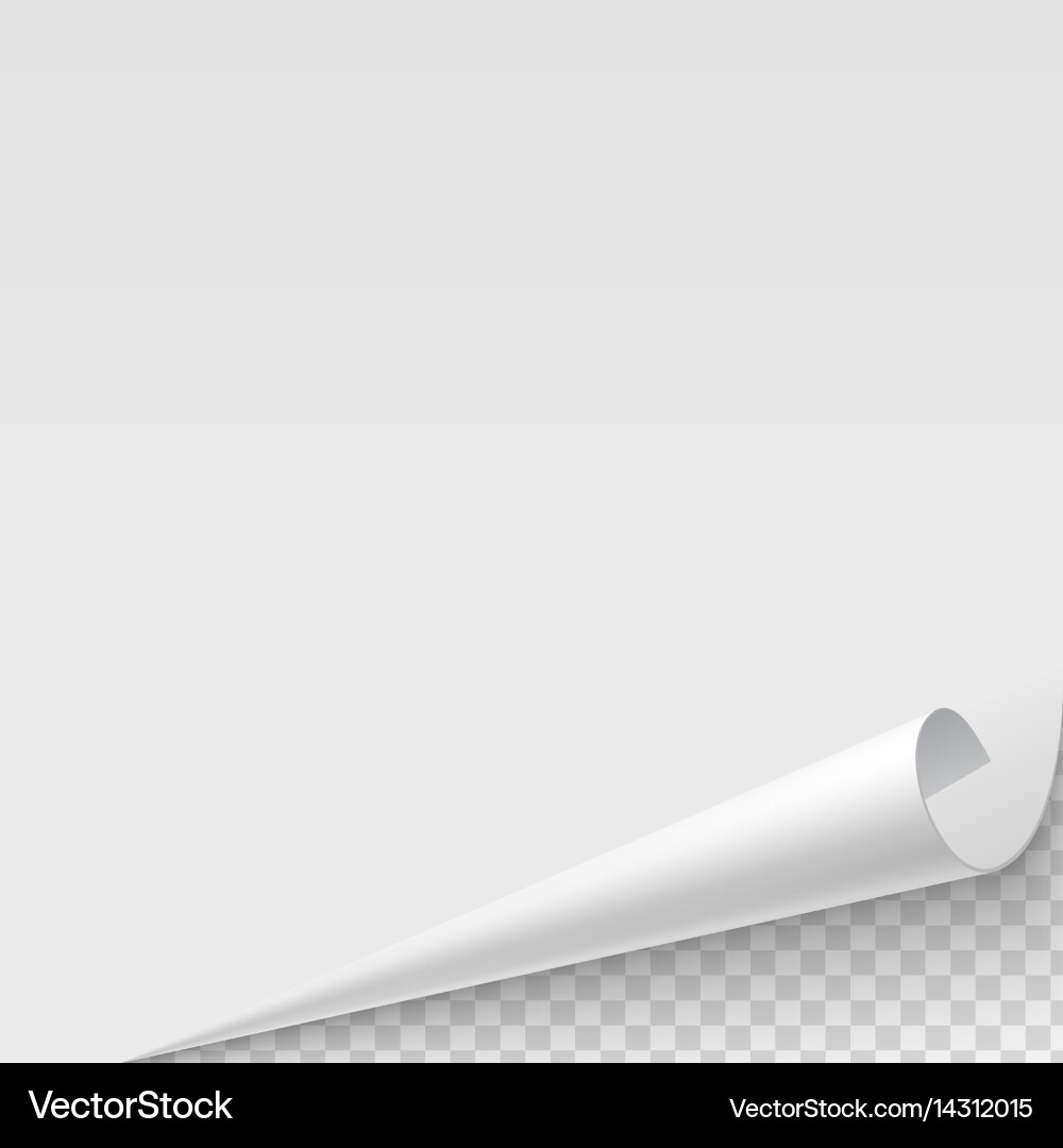 Paper poster with a wrapped up corner Royalty Free Vector