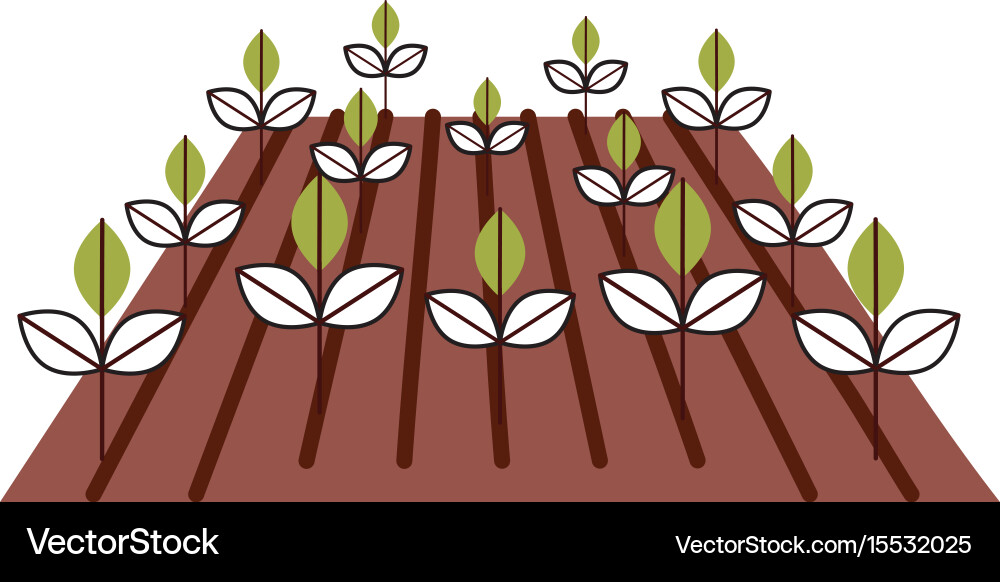 Cultivated plant isolated icon Royalty Free Vector Image