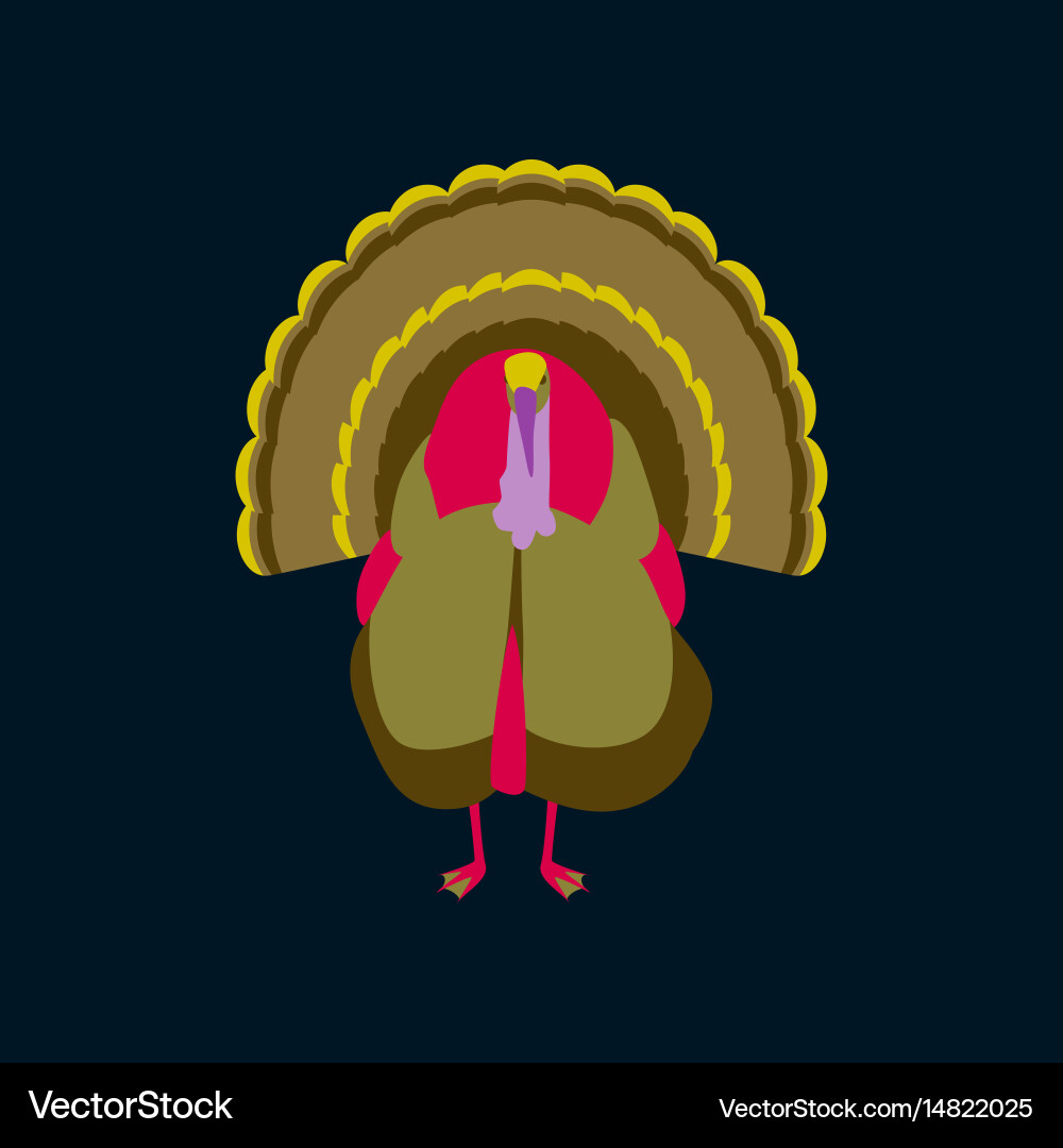In flat style of turkey Royalty Free Vector Image