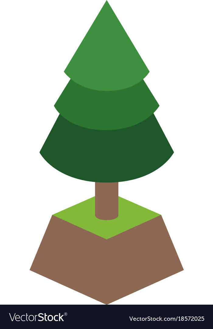 Isolated pine tree design Royalty Free Vector Image