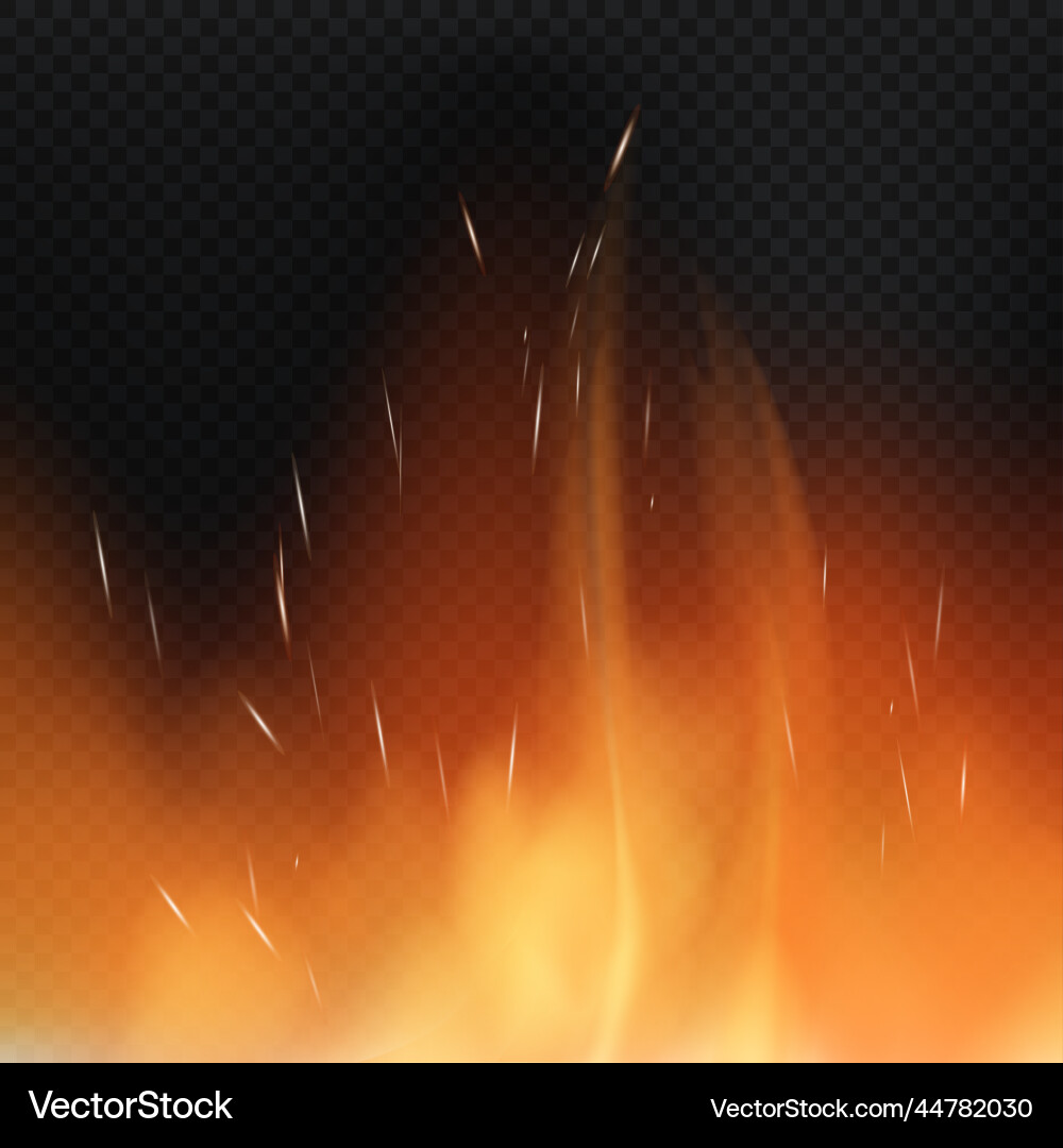 Realistic red-yellow fire on a dark background Vector Image