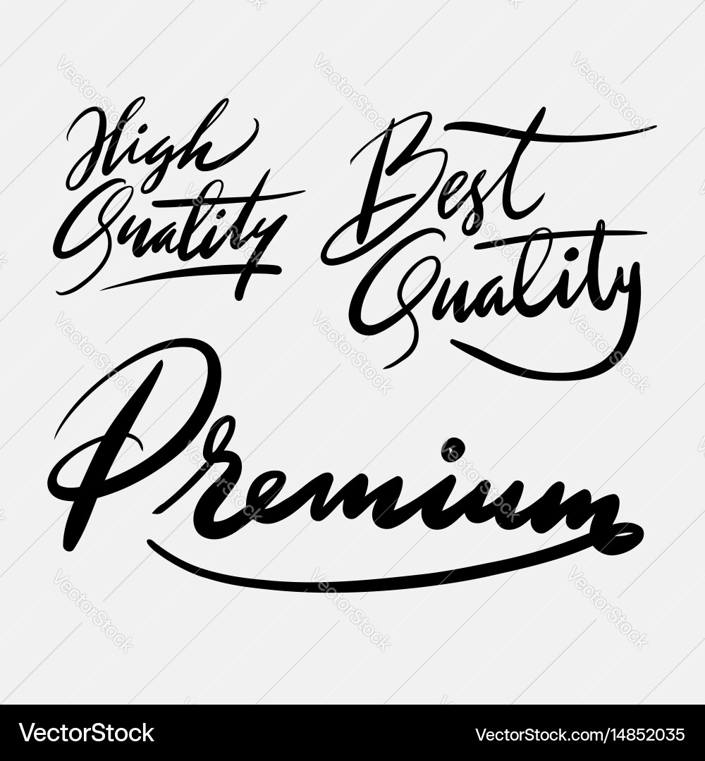 High quality and premium hand written typography Vector Image