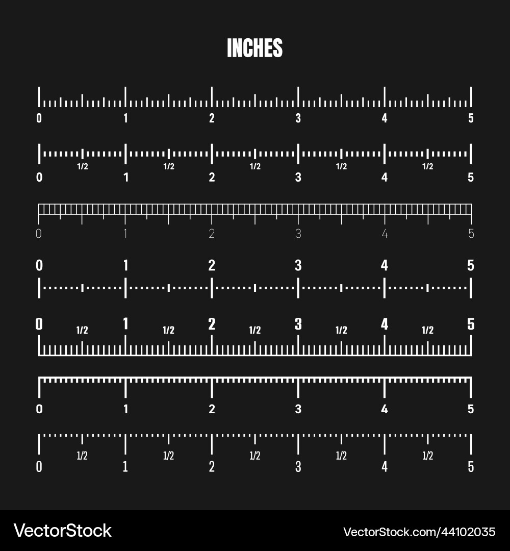 Realistic white inch scale for measuring length Vector Image
