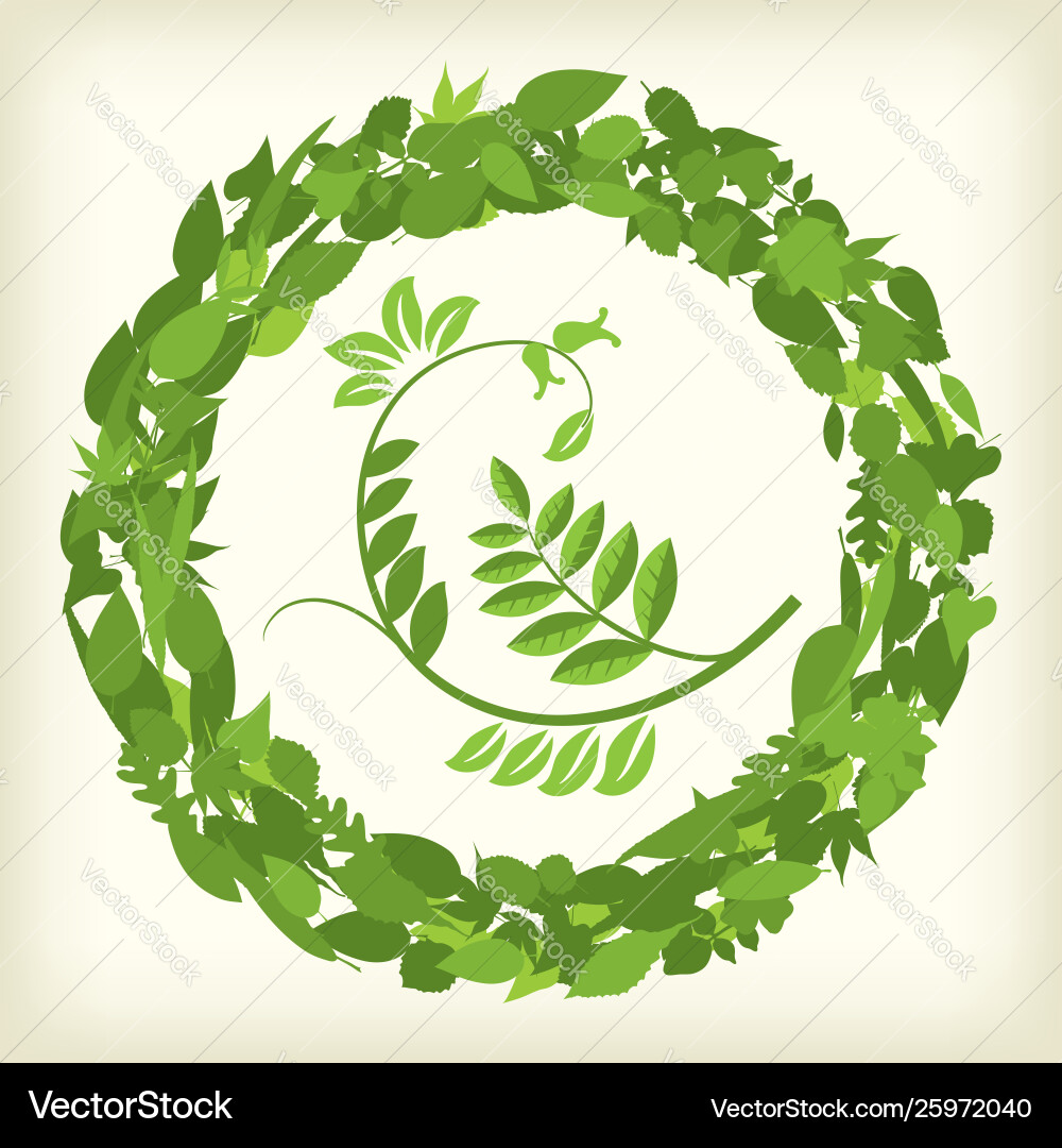 Circular banner green branches and leaves Vector Image