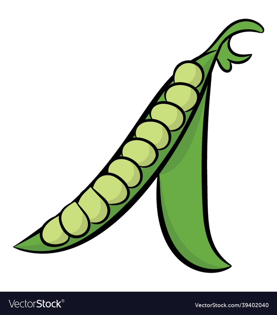Peas Royalty Free Vector Image - VectorStock
